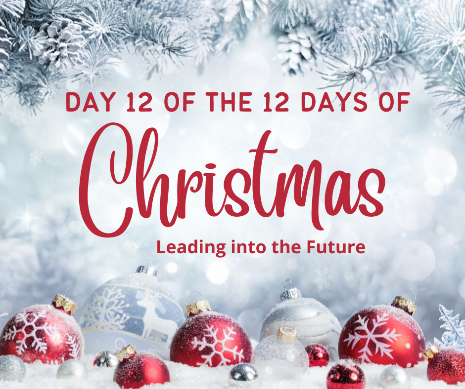 Day 12 of the 12 Days of Christmas - Creating Other Leaders - EMERGENCY ...